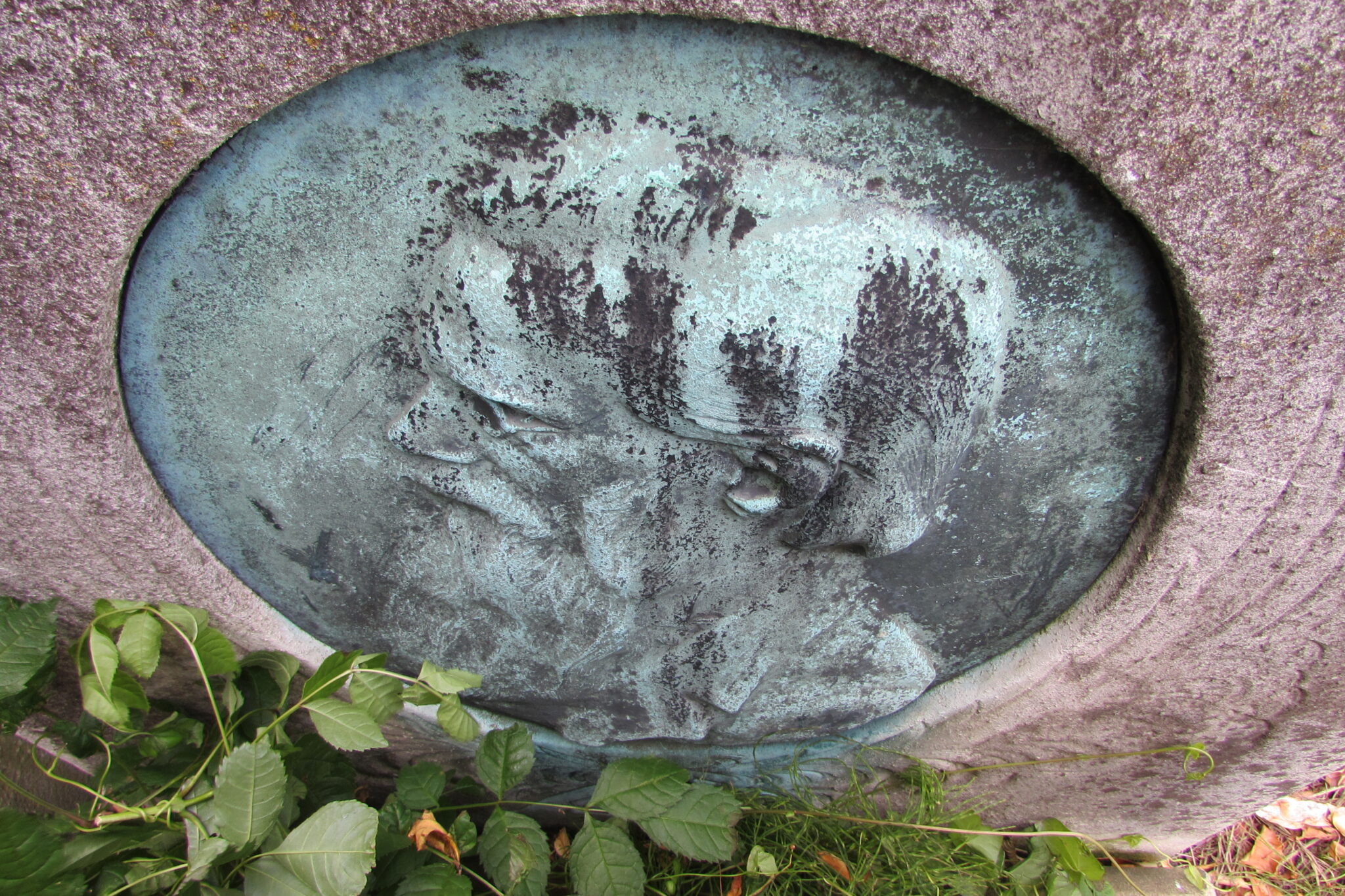 REA Dr William (1827 – 1903) – Friends of Jesmond Old Cemetery